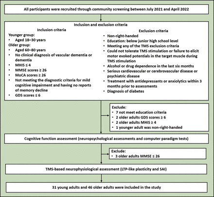 Age-related differences in long-term potentiation-like plasticity and ...