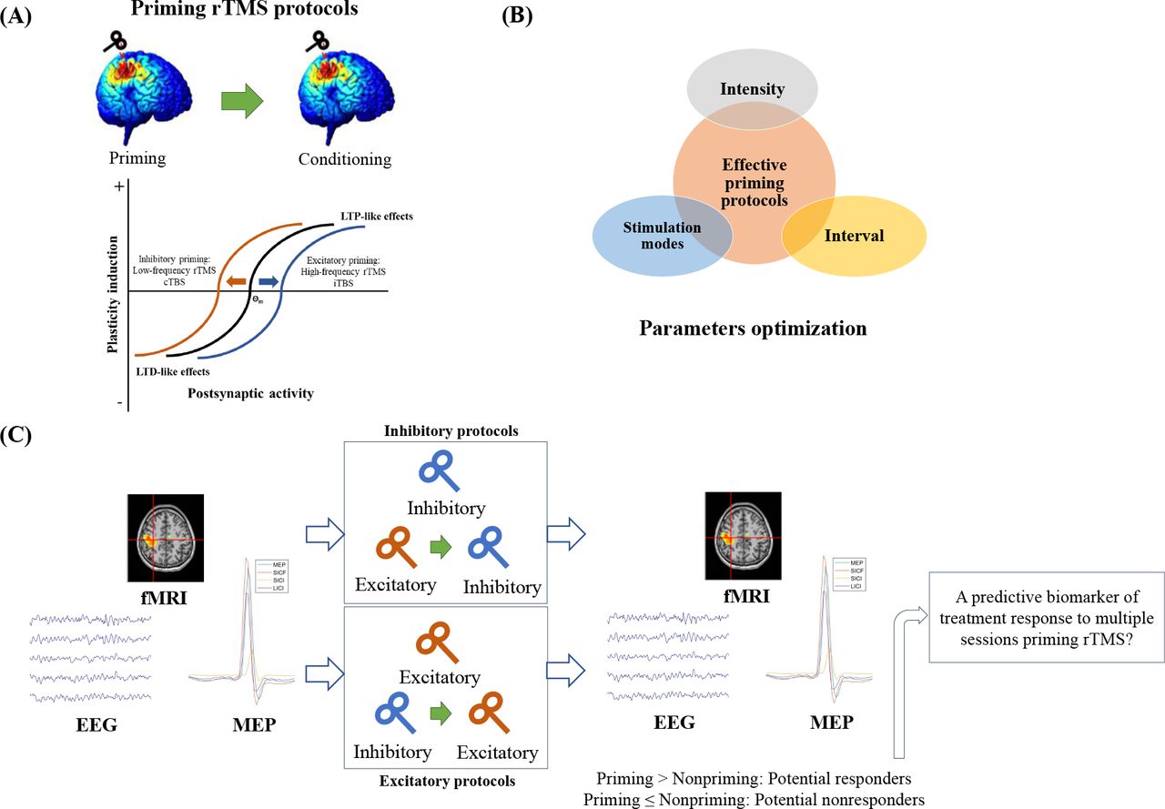 Methodological considerations of priming repetitive transcranial ...