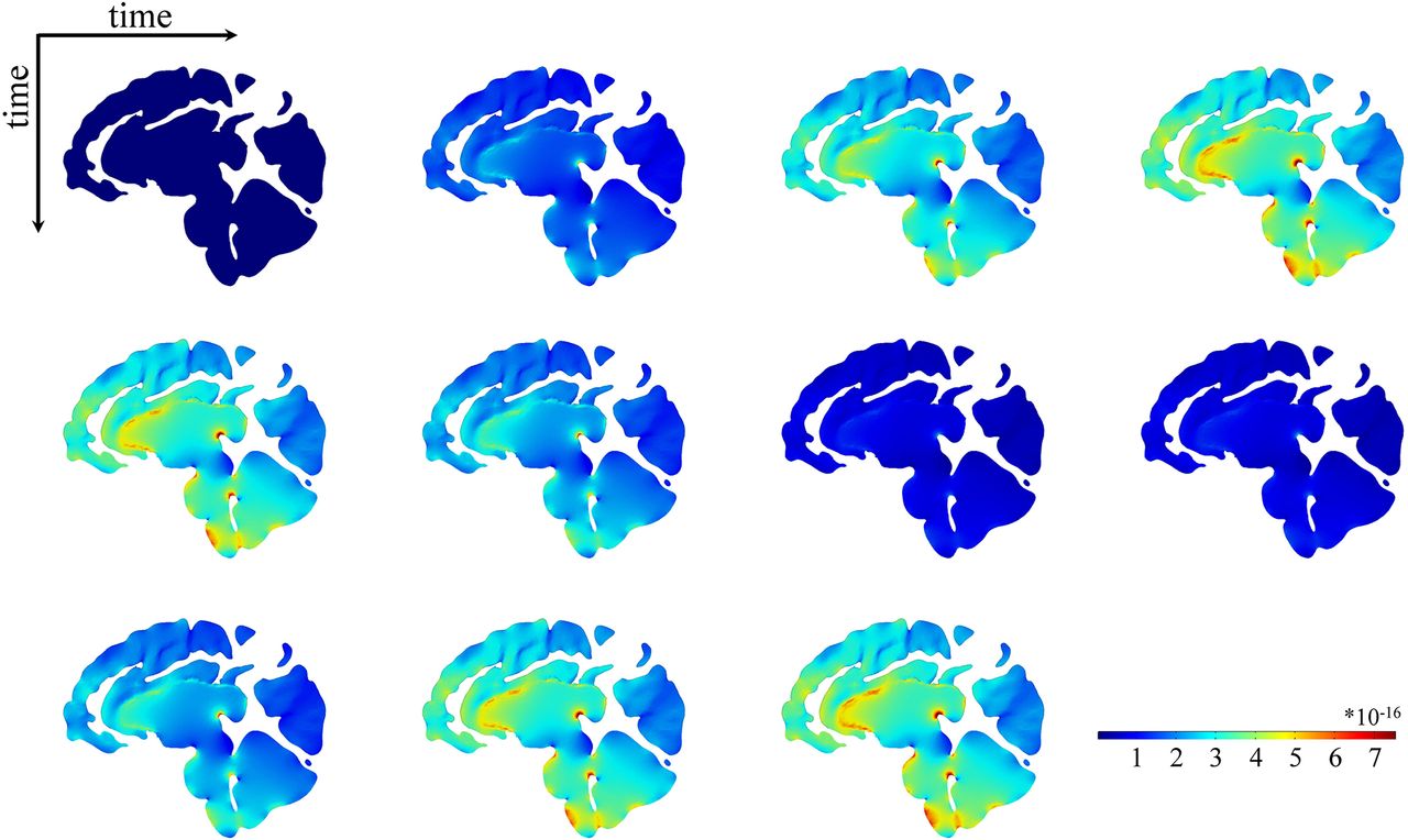 Brain-wide activation involved in 15 mA transcranial alternating ...