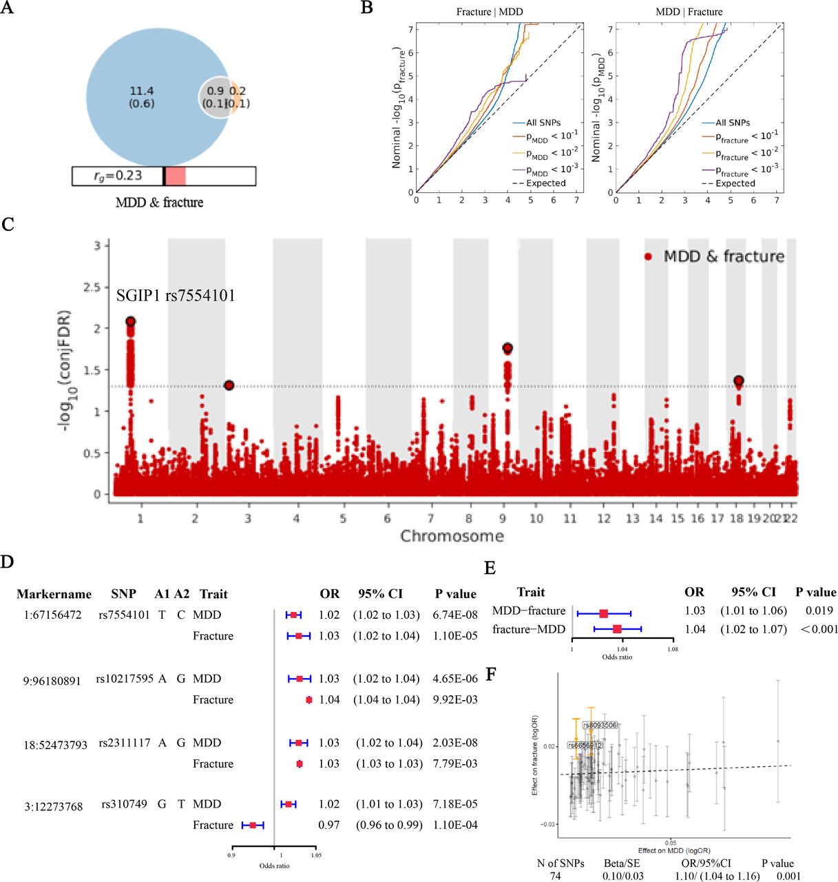 Shared genetic architecture highlights the bidirectional association ...