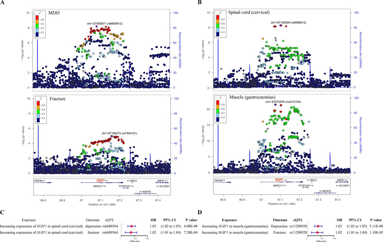 Shared genetic architecture highlights the bidirectional association ...