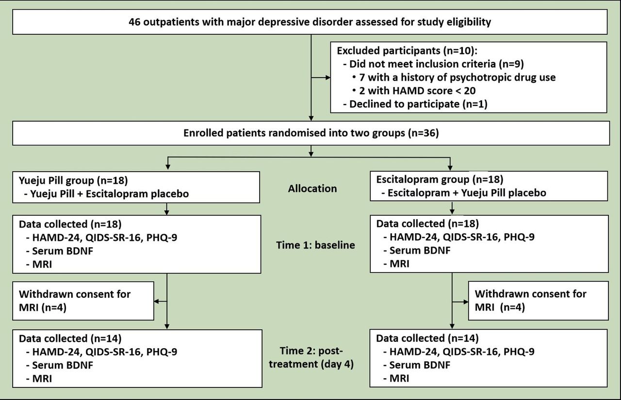 Brain network predictors of changes in symptoms and serum BDNF ...