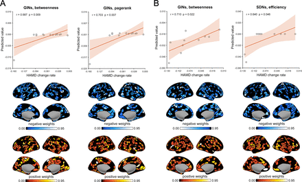 Brain network predictors of changes in symptoms and serum BDNF ...