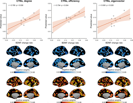 Brain network predictors of changes in symptoms and serum BDNF ...